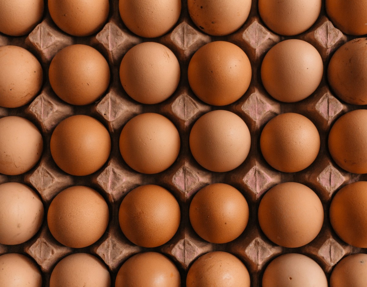 17 Things Americans Stopped Buying Because Prices Got Out of Control ...