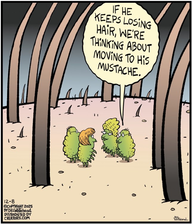 LightWave Reports' Daily Comic Strips (12/8) | Light Wave